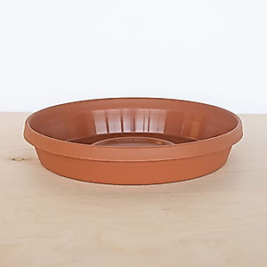 Bloem Terra Pot Round Drain Saucer: 16" - Terra Cotta - Tray for Planters 11-16", Matte Finish, Durable Resin, Ribbed Bottom, for Indoor and Outdoor Use, Gardening, Planter Not Included