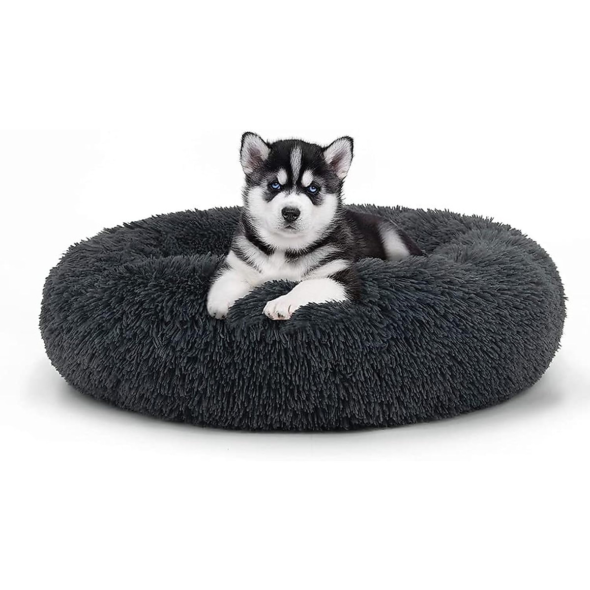 Geizire Cat Bed Dog Bed for Cats, Small Dogs, Washable Donut Calming Round,Soft Fluffy Warm and Cozy Anti Anxiety Cuddler, Joint-Relief Pet Bed (Medium, Green)