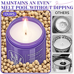 WarmEmbrace Lavender Candles for Home Scented, 7.6 oz Aromatherapy Candle, Purple Jar Candles, Natural Candles for Women, 40 Hour Long-Lasting Burn Scented Candles for Birthday - 1 Pack