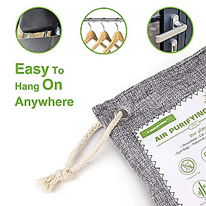 10 Pack Bamboo Charcoal Air Purifying Bags, Activated Charcoal Air Freshener, Nature Fresh Air Purifier Bags, Smell Absorbers for Home, Pet, Closet, Car, Mildew (6x200g, 4x50g) (10)