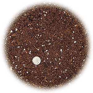 GARDENERA Citrus Tree Potting Soil Mix, Special Blend for Indoor Oranges, Lemons, Limes and More - (1 Quart Bag)