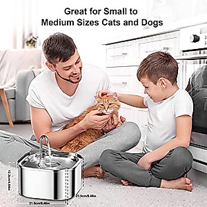 NautyPaws Cat Water Fountain, 3.2L/108oz Automatic Stainless Steel Pet Fountain Dog Water Dispenser with Super Quiet Design - Ideal for Cats, Dogs, and Multiple Pets - Dishwasher Safe