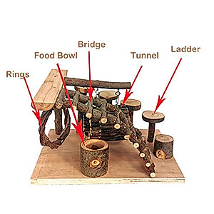 Linifar Hamster Playground Wooden, Small Animal Activity Toys Set – Climbing Ladder/Ramp Bridge/Food Bowl/Hideout Tunnel Stand Platform Chew Toy for Hamster Mouse Gerbil Rat Chinchilla (Playground C)