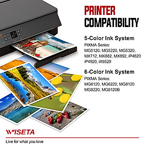 PGI-225 CLI-226 Value Pack Compatible for Canon 225 and 226 Ink Cartridges for Canon MG6220 MG5320 MG5220 MG6120 MG8220 MX882 IX6520 Printer (5 Large Black,3 Black,3 Cyan,3 Magenta,3 Yellow, 17-Pack)