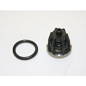 General Pump and Interpump Repair Kit 1 (Valves + O-rings)