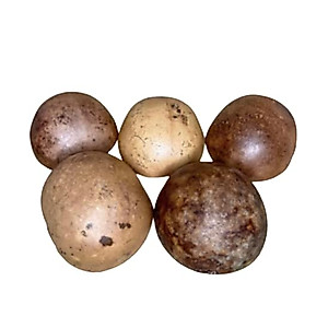 Jícara de Santería Auténtica para Ofrendas y Ritualidades Sagrados