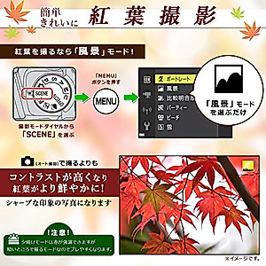 Nikon COOLPIX P900 16MP Digital Camera - International Version (No Warranty) Japan Version