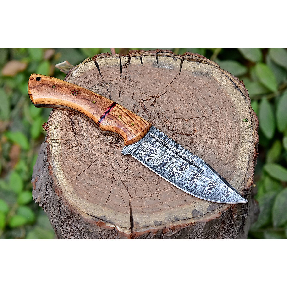 BG Knives Handmade Damascus Steel Hunting Fixed Blade Knife With Leather Sheath, Olive Wood Handle - 9.75" Length Full Tang Multipurpose Knife K-152