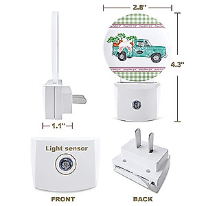 Night Light Plug into Wall, LED Nightlights Easter Truck with Carrot Bunny Green Plaid Pattern Small Nightlight Auto Dusk-to-Dawn Sensor Lamp LED Night Lights for Kid's Bedroom, Bathroom