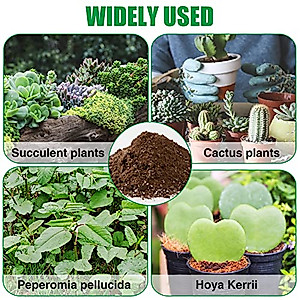 17 OZ Orchid Soil Potting Mix, Orchid Bark for Indoor Plants, Orchid Repotting Potting Soil with Perlite Moss Sphagnum Coco Peat for Phalaenopsis Succulent Plants