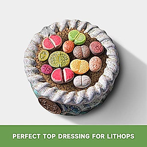 NOHOBE 2.5lb Hard Akadama Bonsai Soil 1/8-1/4 inch Small Grain for Cactus, Succulents, Bonsai Plants Soil Amendment, Prevent Over Water, Provides Optimal Water Retention, Fast Drainage