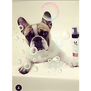 Warren London Foaming Pet Facial | Tear Free Dog Face Wash | Tearless Dog Shampoo for Faces & Dog Eye Stain Remover | Refreshing Cucumber Melon Wash | Made in USA | 8oz