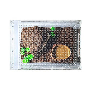 SOBAKEN Herpcult Magnetic Acrylic Large Enclosure 12 x 8 x 6