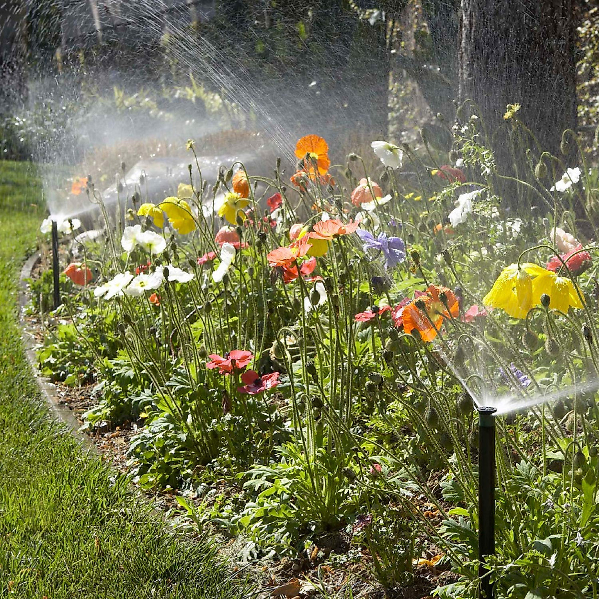 Hunter Industries PROS06 Hunter Pro 6" Pop-up Sprinkler Spray, Small, Black