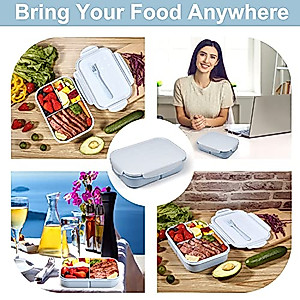 Jeopace Bento Box, Bento Box Adult Lunch Box,Kids Bento Box with 3 Compartments,Lunch Containers Microwave Safe(Flatware Included,Blue+Purple)