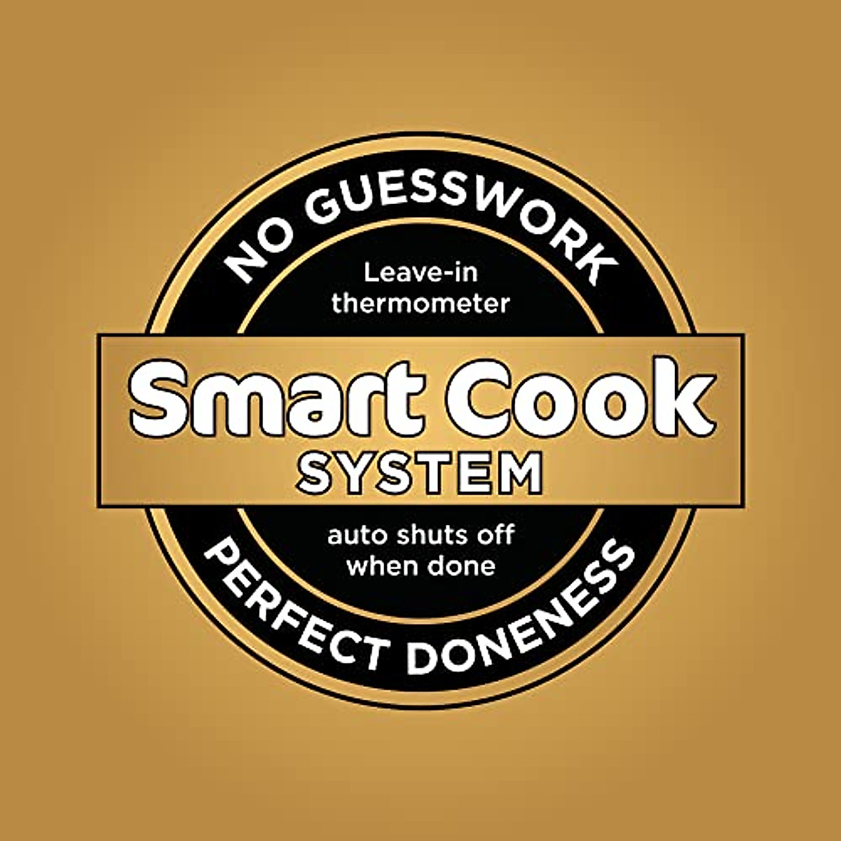 Ninja DG551 Foodi Smart XL 6-in-1 Indoor Grill with Air Fry, Roast, Bake, Broil, & Dehydrate, Foodi Smart Thermometer, 2nd Generation, Black/Silver