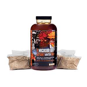 MICROBE-LIFT AUTPREP Autumn and Winter Prep Seasonal Conditioner for Ponds and Outdoor Water Gardens, Safe for Live Koi Fish, Plants, and Decor, 32 Ounce Liquid and 4 2-Ounce Packets