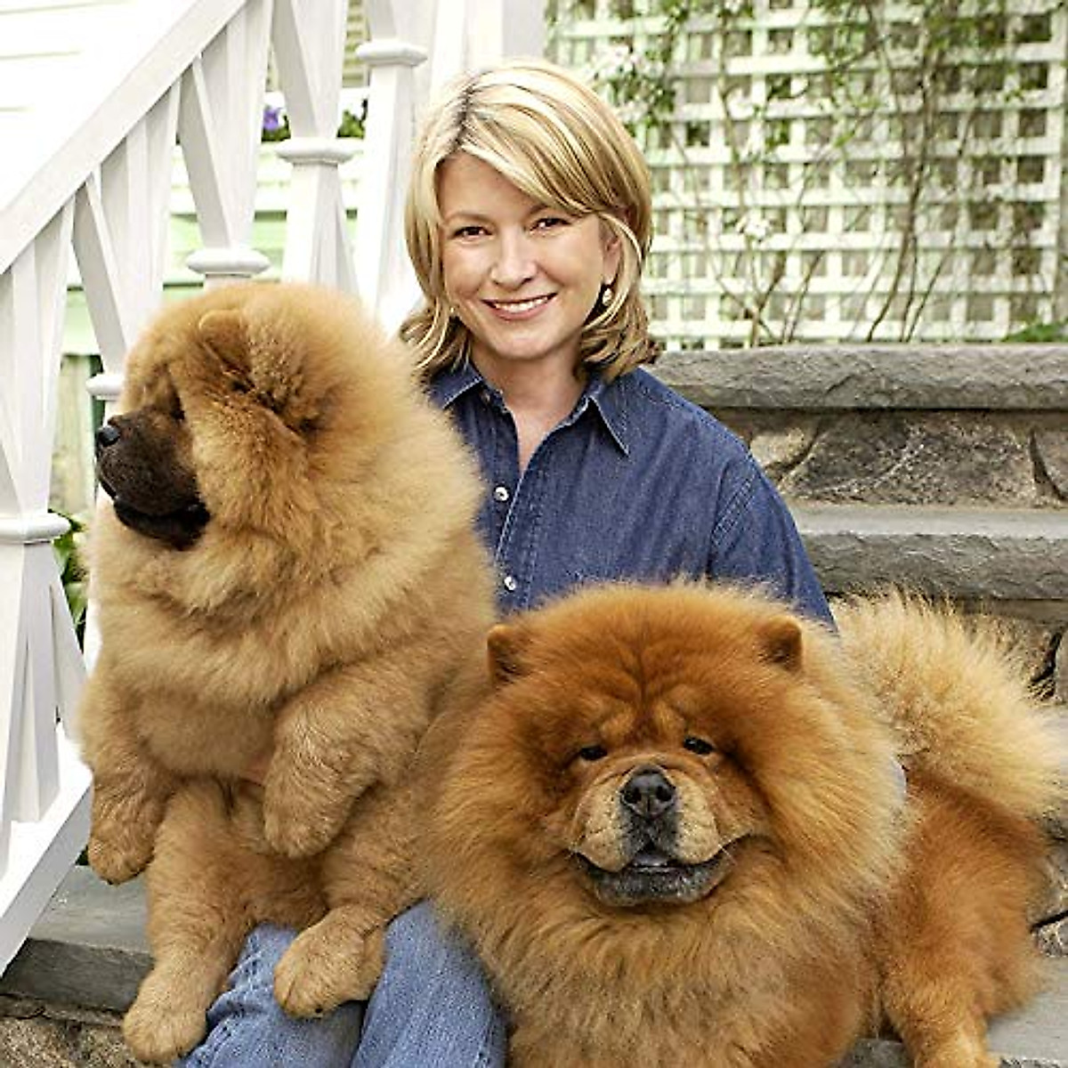 Martha Stewart for Pets 2-in-1 Puppy Shampoo with Grapefruit | Tearless Dog Shampoo and Conditioner, Safe for All Dogs and Puppies, 16 Ounce Bottle Dog Wash