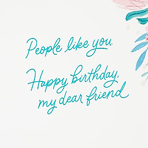 Hallmark Birthday Card for Friend (People Like You)