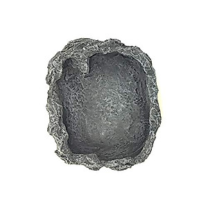 Shelltech Reptile Water Dish Food BowlTerrarium Bowl for Tortoise Frog Snake Gecko Lizard Spider Chameleon Scorpion (5.7" L x 4.7"W x 1.3" H)