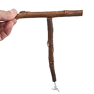 ShanLily Wood Bird Perches Parrot Stand Natural Perch Parakeet Toys Bird Cage Accessories for Bird Supplies Budgie Platform