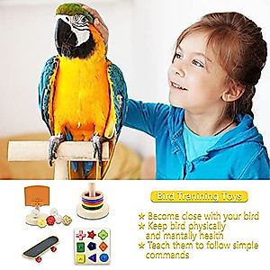 5 Packs Bird Toys Parrot Training Toys Parrot Wooden Block Puzzles Toy Bird Basketball Toy Small Sepak Takraw Bird Skateboard Bird Stacking Toy for Birds Parrot Training