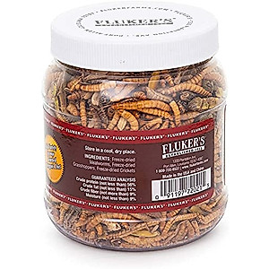 Fluker's Bearded Dragon Medley Treat Food 1.8oz - Includes Attached DBDPet Pro-Tip Guide