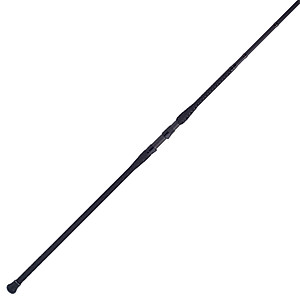 PENN Fishing Squadron III Surf Conventional Fishing Rod, Titanium/Red/Gold, 10' - Medium - 2pc (SQDSFIII1220C10)