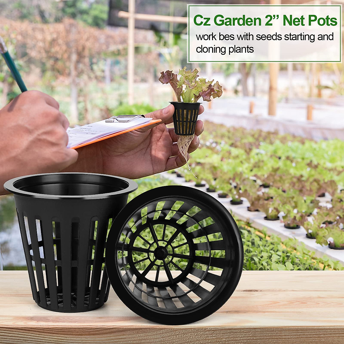 HXSEMAYIG 50PCS 2 inch Net Pots, Hydroponics Cup, Net Cups for Indoor or Outdoor Growing