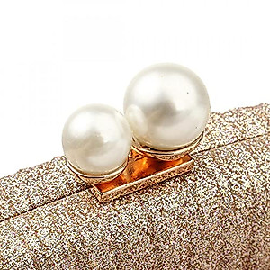 Women Clutch Evening Bags Purses and Handbags Classic Silver Clutch Shoulder Bag with Shoulder Chain (Champagne)