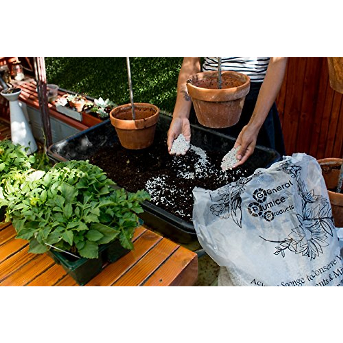 3 Gallon Bag Garden Pumice (3/16" Stone) 13lbs