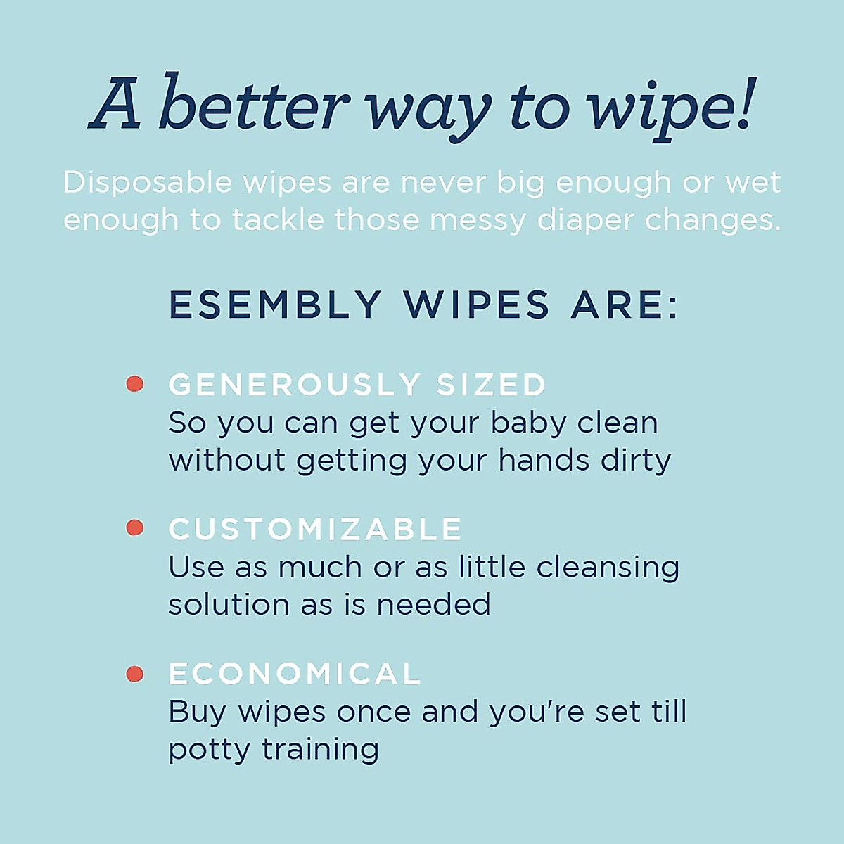 Esembly Cloth Diaper Bundle Set (Size 1, Mist), Rash Relief Cream (3 oz), Everyday Balm (4 oz), Wipe Up Wash Kit and 12pk Wipe Ups Bundle - Complete Diapering Package for Babies