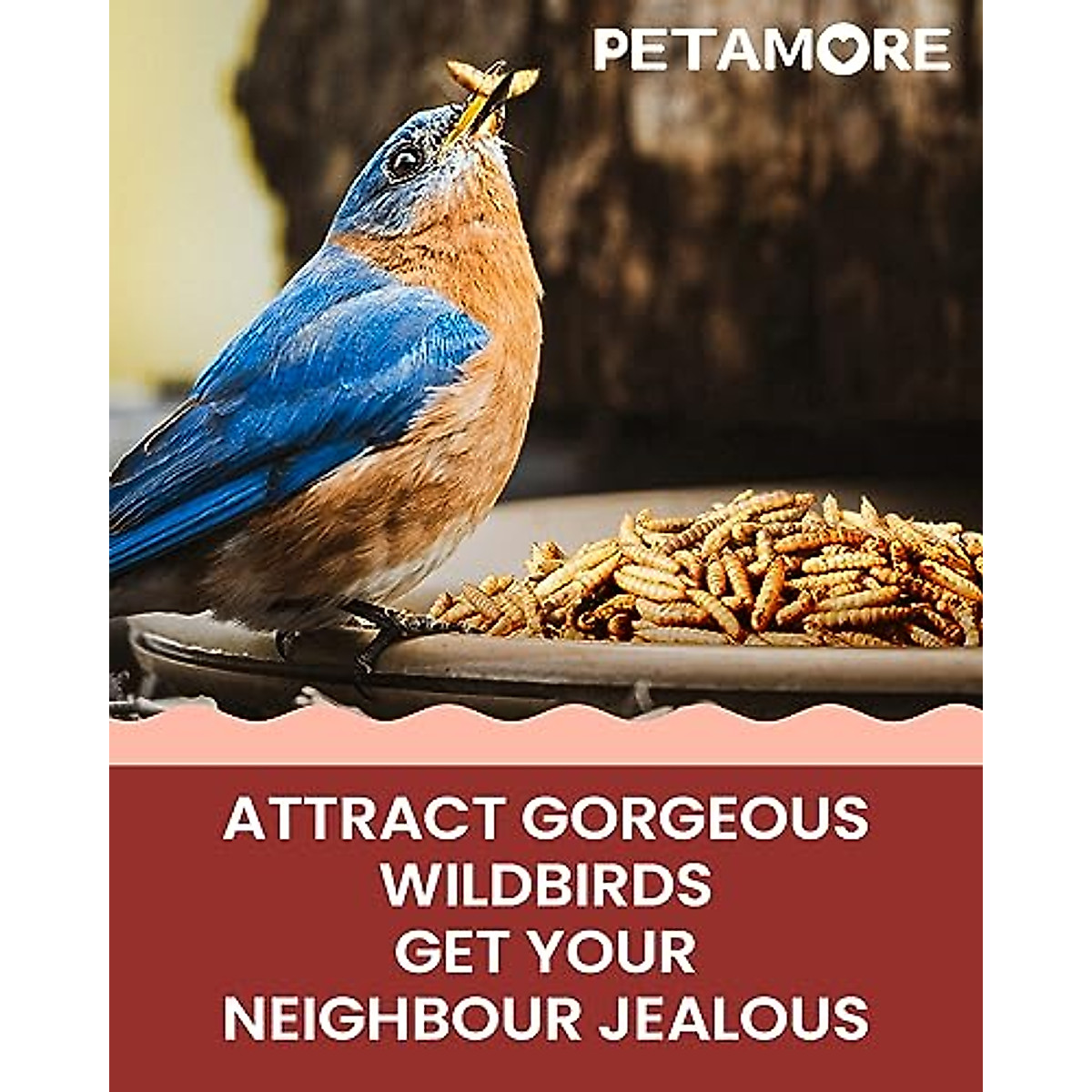 NC Grubsnack 10lbs Dried Mealworms Black Soldier Fly Larvae Mix Treats for Backyard Chickens, Scratch Feed for Backyard Flock Party Poultry Fowl Layers hens with Rich Protein and Calcium