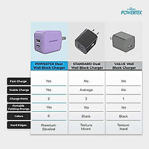 Liquipel Powertek Dual USB-A Wall Charger, Beveled Edges, Foldable, Compact, Pastel Colors (Purple)