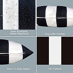 LVTXIII Outdoor/Indoor Lumbar Pillow Case Covers ONLY, 12” x 20” Patio Garden Decorative Lumbar Pillow Covers Pack of 2 for Outdoor Home Patio Furniture Use - Cabana Black