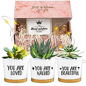 Birthday Gifts for Women,Bestfriend Gifts for Women,Unique Gift Ideas for Birthday,Inspirational Gifts for Women,Graduation Gifts, Plastic Succulent Pots Gifts with Gift Boxed(You are Loved)