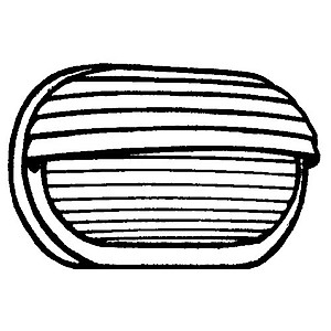 Progress Lighting P5706-30 Bulkheads Outdoor, 10-1/2-Inch Width x 5-7/8-Inch Height, White