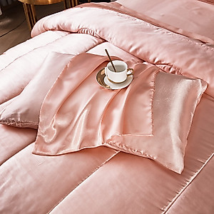 Satin Comforter Set King Size Silk Like Pink Comforter Silky Polyester Filling Bed Comforters Luxury Hotel Satin Pink Girls Bed Comforter 1 Comfrter 2 Pillowcase (King, Pink)