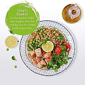 Panasonic SRJMY188 10 Cup Electronic Rice Cooker/Warmer, Champagne Gold