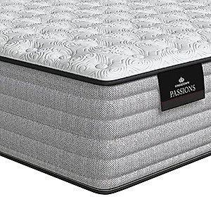 Kingsdown Passions Aspiration Firm Mattress, Queen