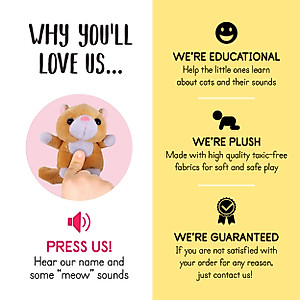 Plush Creations Talking Plush Cat House for Kids Includes Plush Cat House Carrier with 4 Soft Stuffed Talking & Meowing Kittens & A Cat Plush Milk Bowl Best Interactive Toy for Babies Or Toddlers