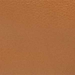 Fossil Women's Liza Eco Leather Camera Bag Crossbody Purse Handbag