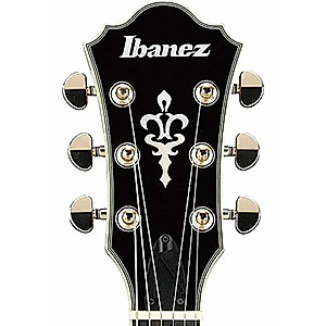 Ibanez AM93ME Artcore Expressionist Macassar Ebony Semi-Hollow Body