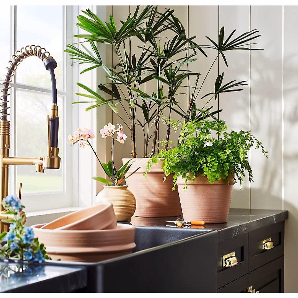 Threshold Earthenware Tabletop Decorative Planter Designed with Studio McGee (Rose)