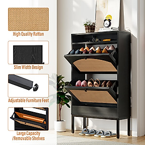 Wanttii Shoe Cabinet, Shoe Storage Cabinet with 2 Flip Drawers, Slim Shoe Storage Rack with Charging Station for Entryway, Hallway, Living Room (Black, Small)