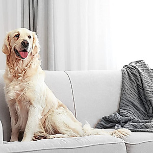 Enforcer Flea Spray for Homes - 1 gal (Case of 4) - EFSH128 - Prevents Flea Investation for up to 7 Months from Hatching Fleas