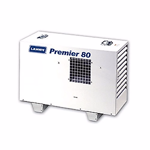 Lb White Premier Enclosed Flame Ductable Dual Fuel - Lp/ng 80K Btu Heater