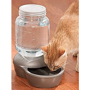 Petmate Mason Inspired Replendish Gravity Waterer, Water Dispenser for Dogs and Cats, 1 Gallon Silver
