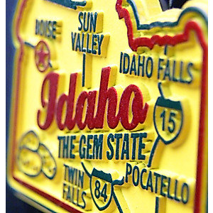 Florida Giant State Magnet by Classic Magnets, 4.8" x 4", Collectible Souvenirs Made in The USA