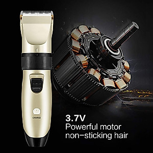 generies Hair Clippers for Men Body Hair Removal Machine with 4 Combs Electric Razor Cordless & Corded Rechargeable Hair Beard Trimmer